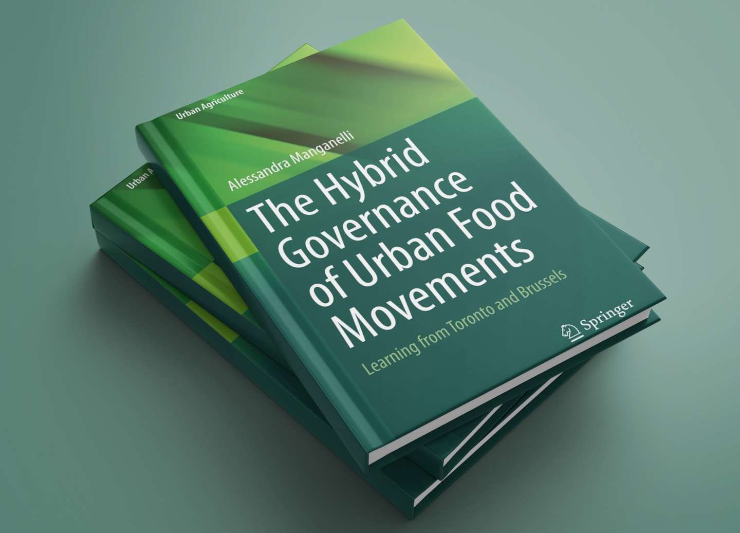 The hybrid governance of urban food movements: Learning from Toronto ...