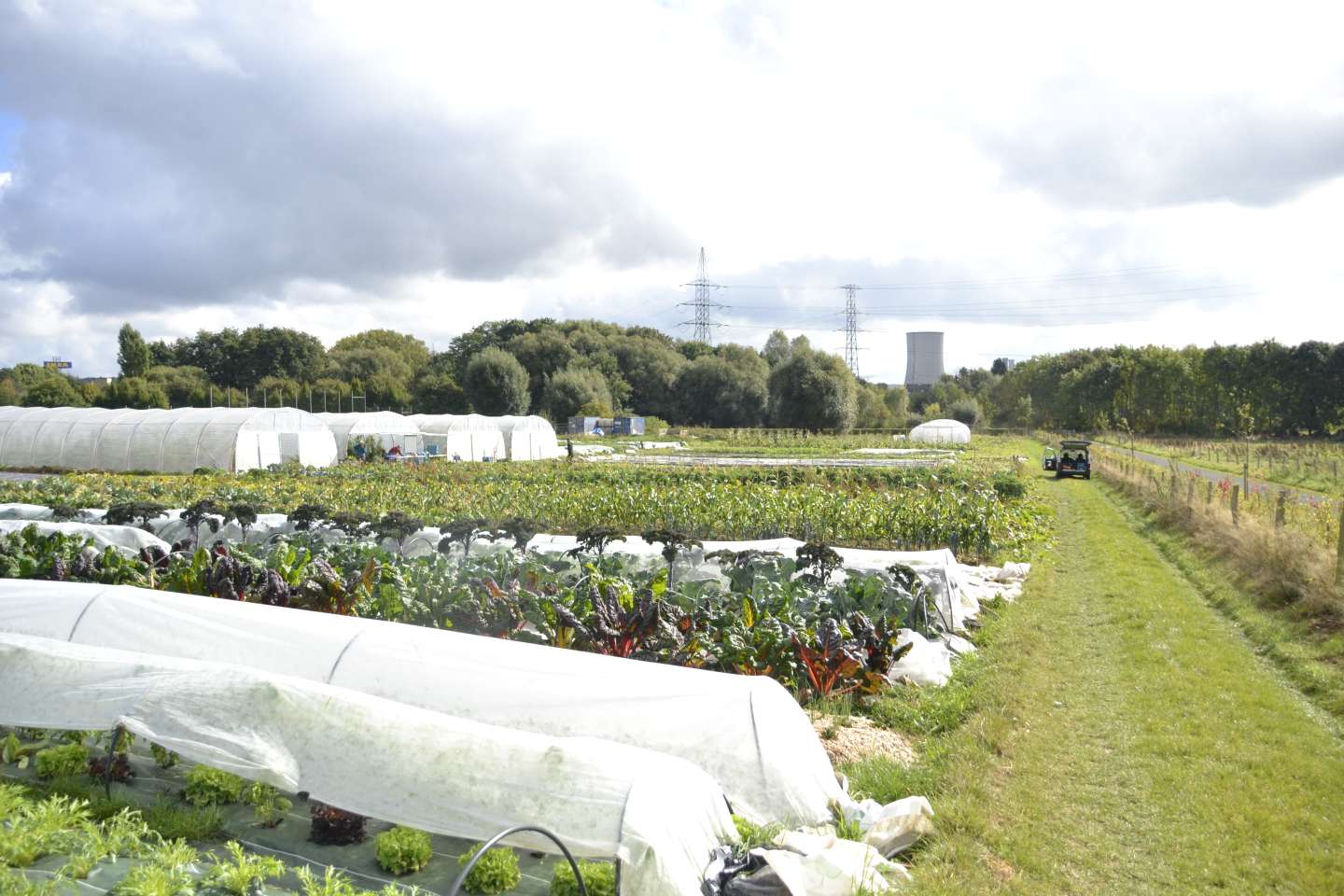 Urban greening experiments - RTG 2725